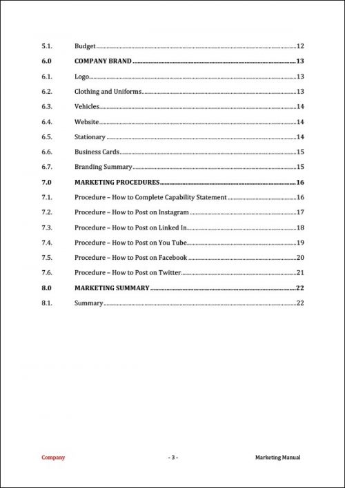 Organization Manual Template + Free Bonuses